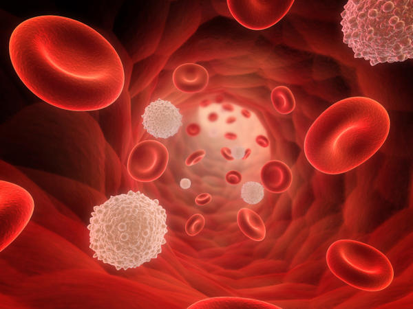Low Red Blood Cell Count | New Health Advisor