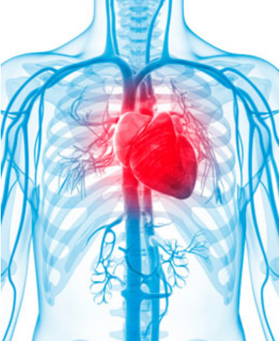 Know Where Your Heart Is and How to Identify Heart Pain | New Health ...