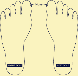 Reflexology for Sinuses: Where and How | New Health Advisor