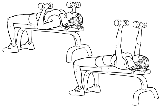 11 Best Exercises for Scapular Stabilization | New Health Advisor