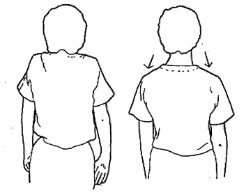 11 Best Exercises for Scapular Stabilization | New Health Advisor