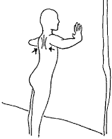 11 Best Exercises for Scapular Stabilization | New Health Advisor