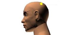 7 Main Pressure Points on Head | New Health Advisor