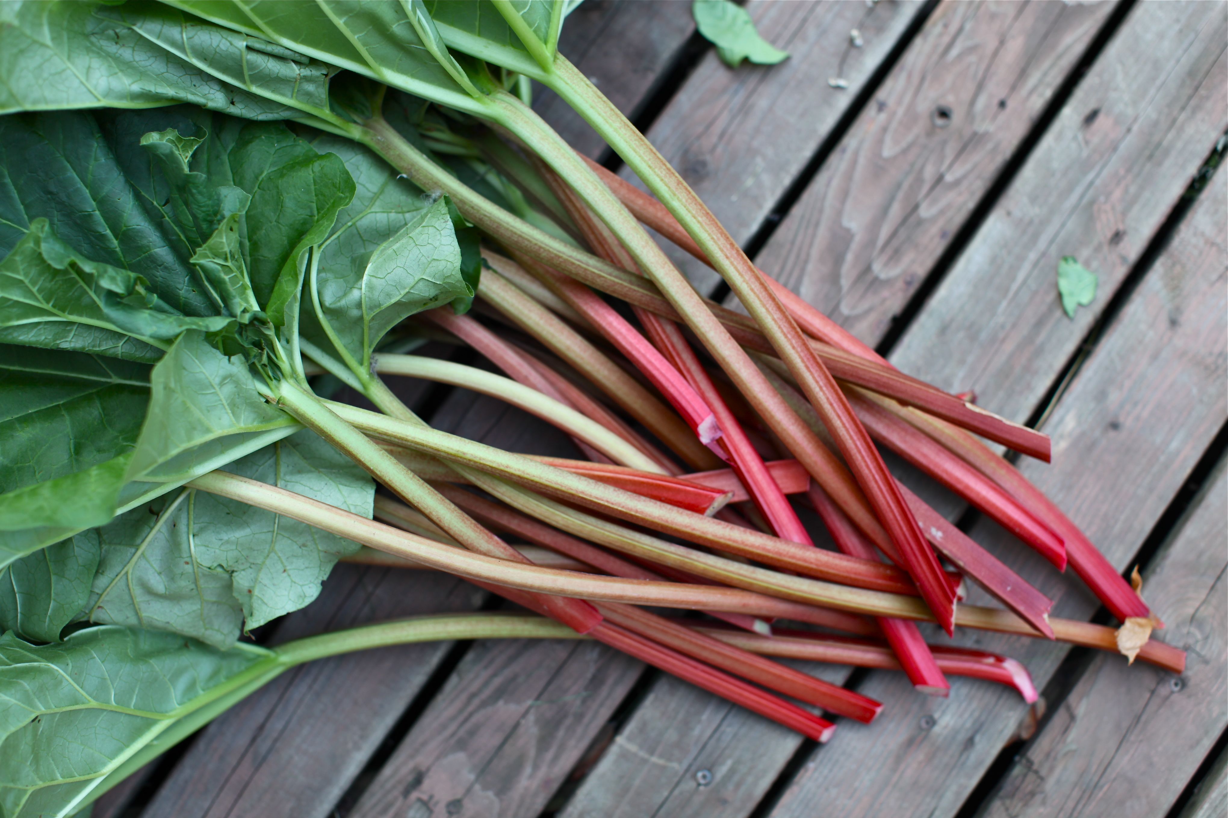 Top 10 Rhubarb Health Benefits | New Health Advisor