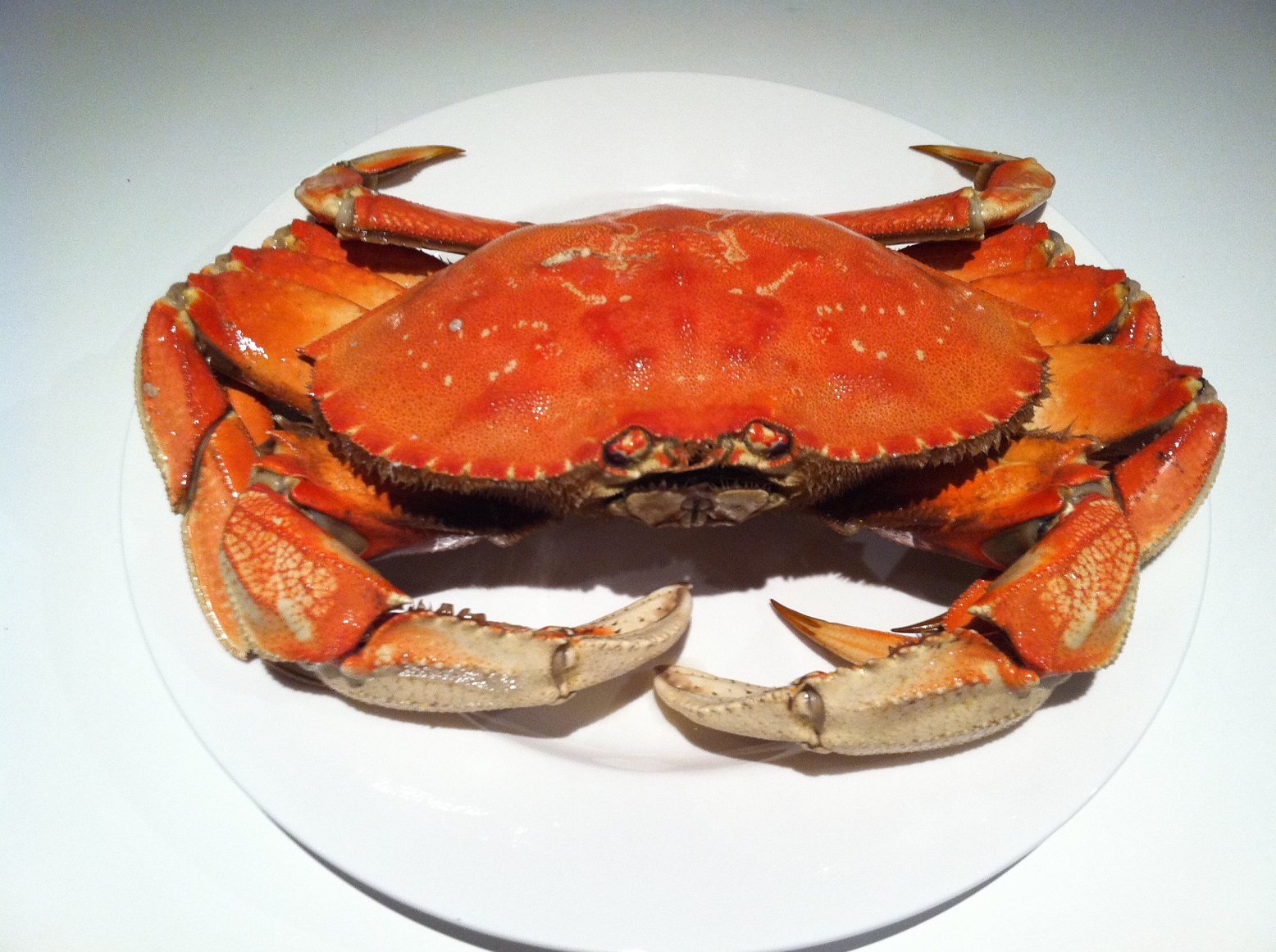 5+ Foods High in Taurine | New Health Advisor