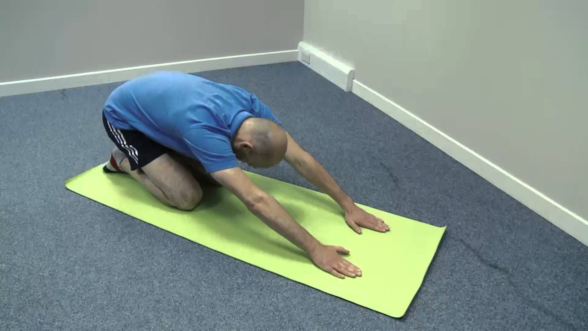 Exercises for Lower Back | New Health Advisor