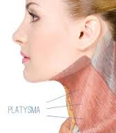 9 Best Double Chin Exercises That Work Fast | New Health Advisor