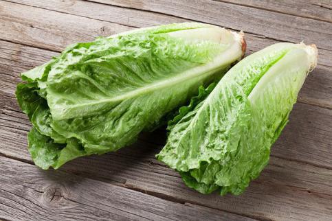 14 Great Foods You Can Eat with Gerd | New Health Advisor