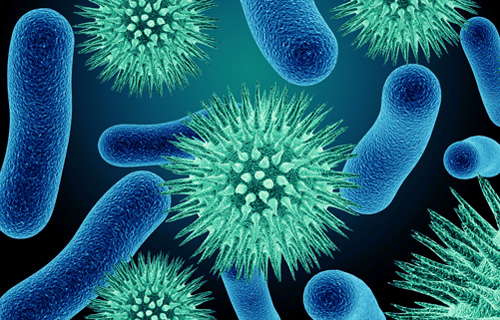Pathogens Types and Examples and How They Spread | New Health Advisor