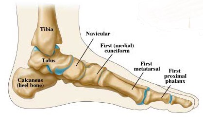 How Can You Break the Feet? | New Health Advisor