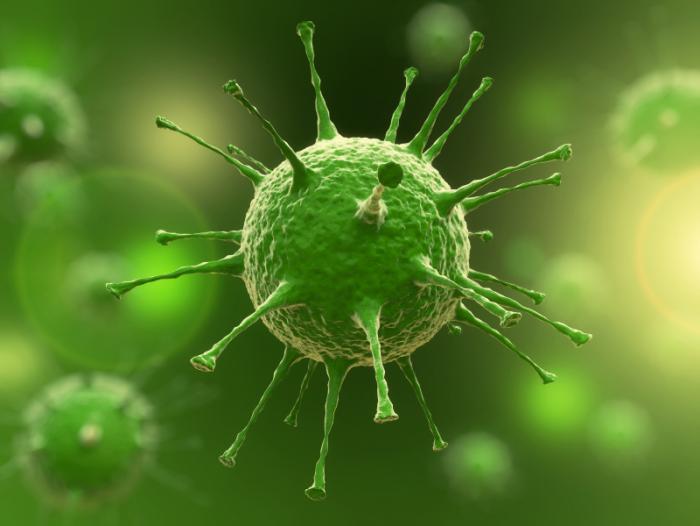 Characteristics of Viruses | New Health Advisor