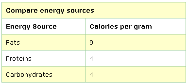 Calories per Gram of Fat | New Health Advisor