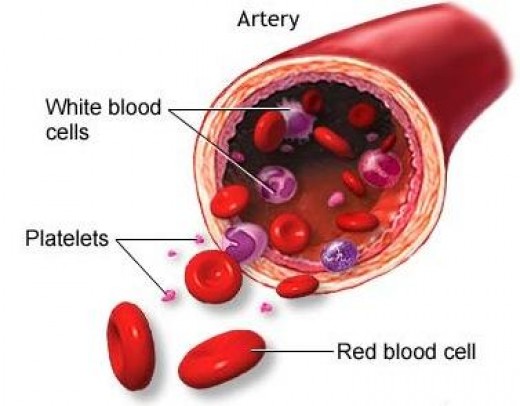 Low Blood Count Causes | New Health Advisor