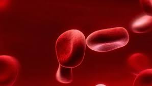 Normal Hemoglobin Levels | New Health Advisor
