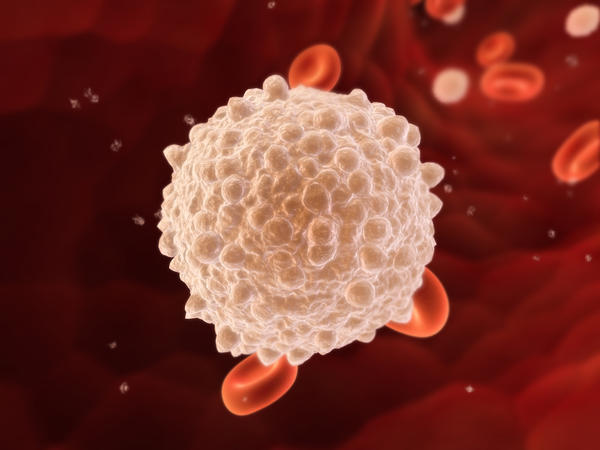 5 White Blood Cells Types and Their Functions | New Health Advisor
