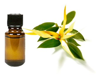 Essential Oils for Depression | New Health Advisor