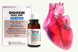 Digoxin Mechanism of Action | New Health Advisor