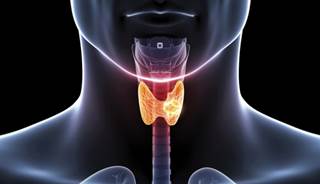 Subclinical Hyperthyroidism | New Health Advisor