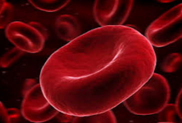 What Is High Red Blood Cell Count? | New Health Advisor