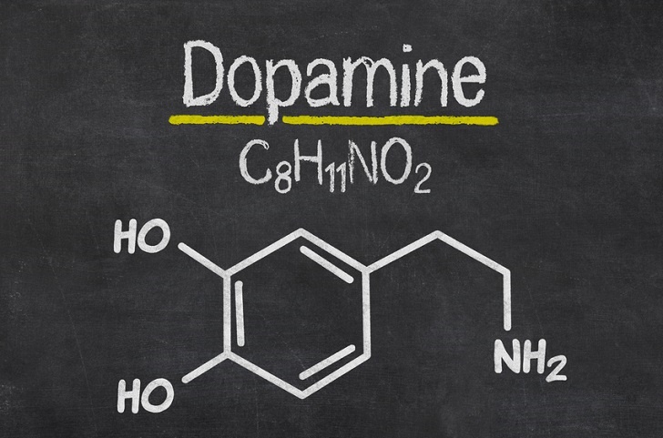 What Does Dopamine Do? | New Health Advisor