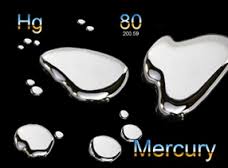 Effects of Mercury on the Body | New Health Advisor