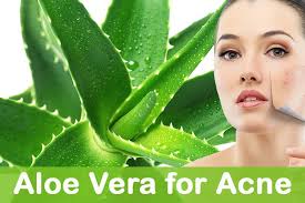 How to Use Aloe Vera for Treating Acne | New Health Advisor