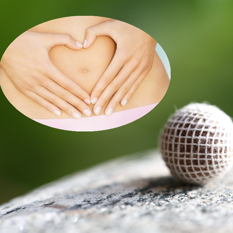 7+ Herbs for Womb Cleansing | New Health Advisor